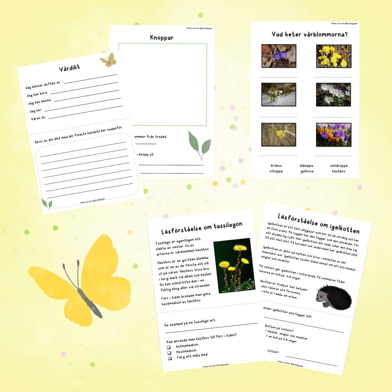 Min bok om djur och natur | Teach Academy Min bok om djur och natur | Teach Academy
