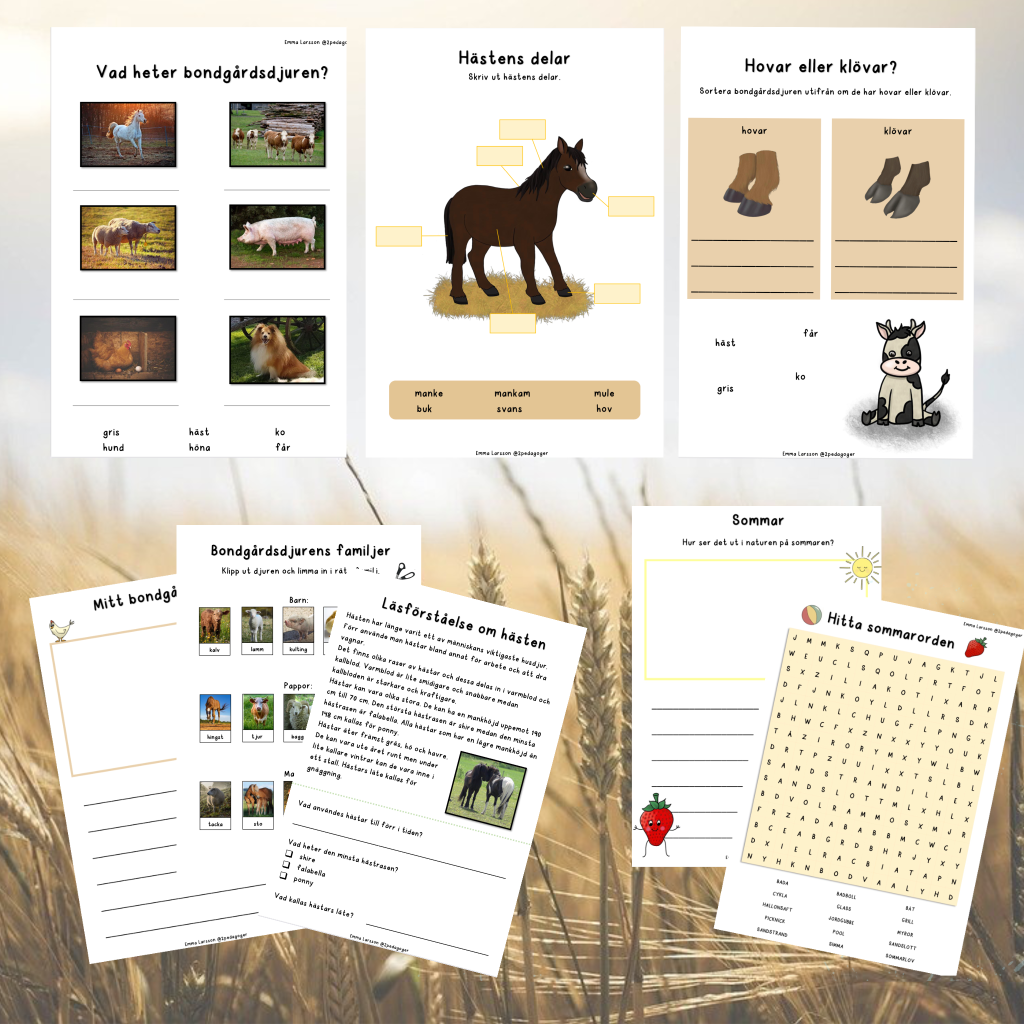Min bok om djur och natur | Teach Academy Min bok om djur och natur | Teach Academy