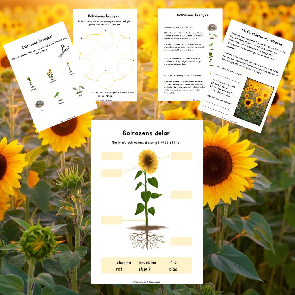 Min bok om djur och natur | Teach Academy Min bok om djur och natur | Teach Academy