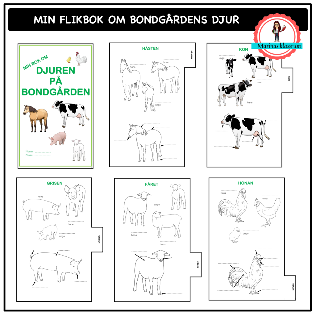 Bondgårdens djur - flikbok skriv själv | Teach Academy Bondgårdens djur - flikbok skriv själv | Teach Academy