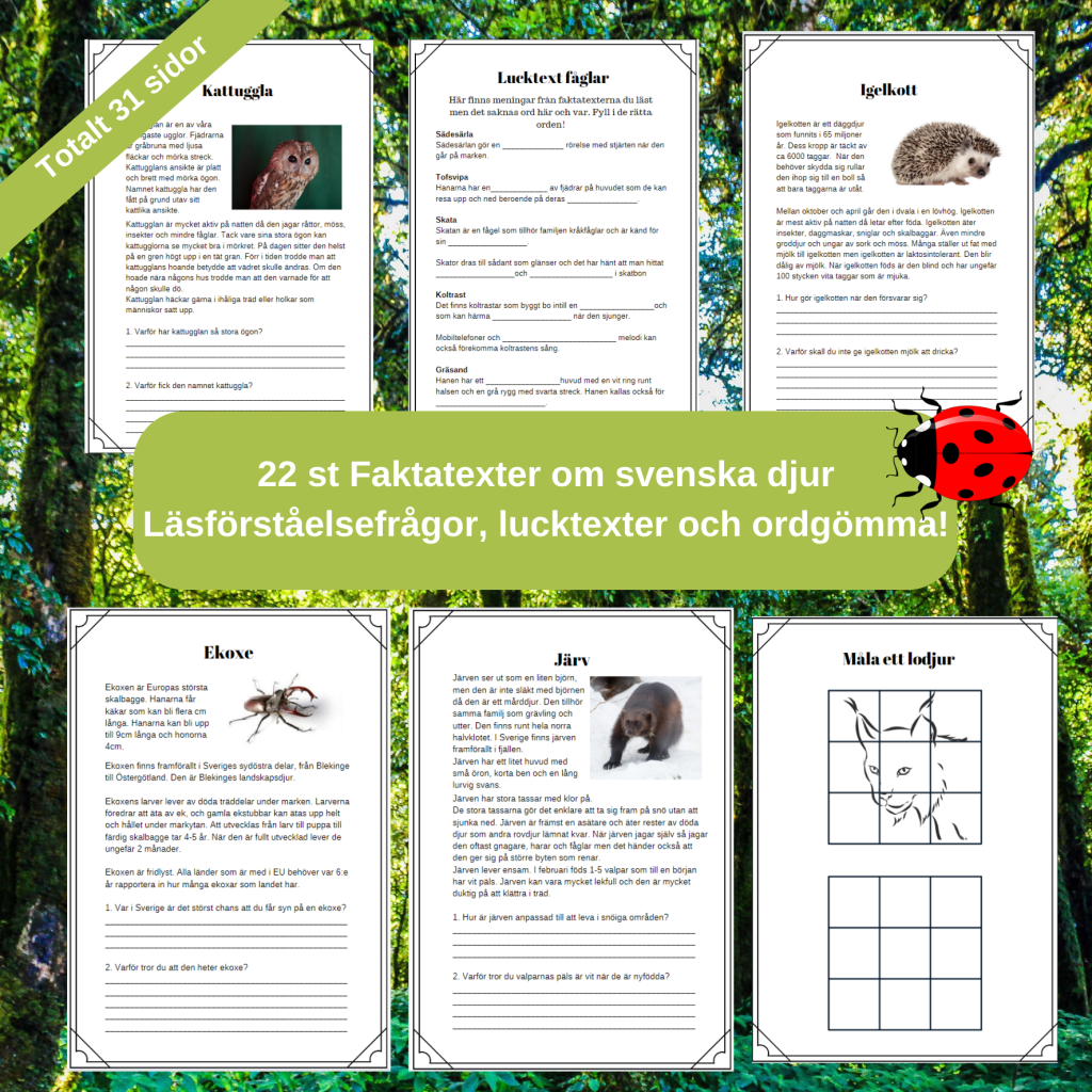 Faktatexter NO djur i Sverige läsförståelse | Teach Academy Faktatexter NO djur i Sverige läsförståelse | Teach Academy