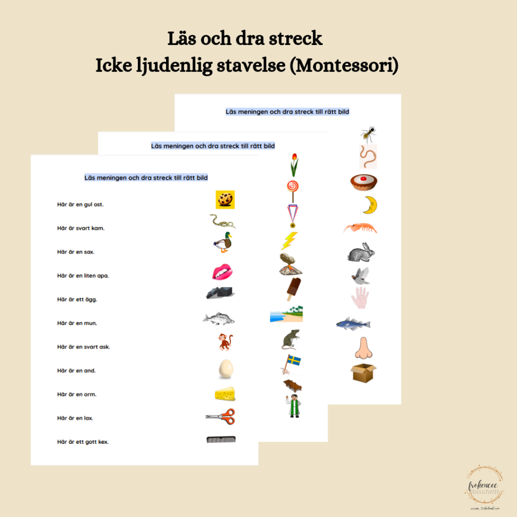 Läs och dra streck - icke ljudenlig stavning (Montessori) | Teach Academy Läs och dra streck - icke ljudenlig stavning (Montessori) | Teach Academy