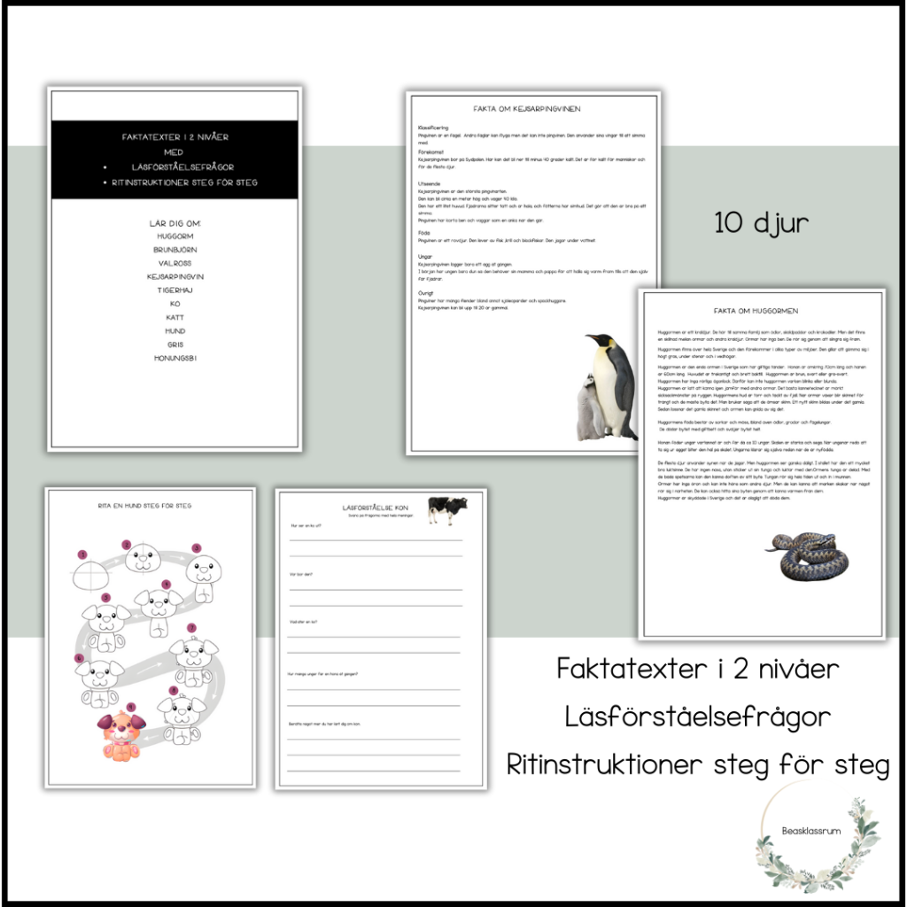 Faktatexter om 10 djur - 2 nivåer | Teach Academy Faktatexter om 10 djur - 2 nivåer | Teach Academy