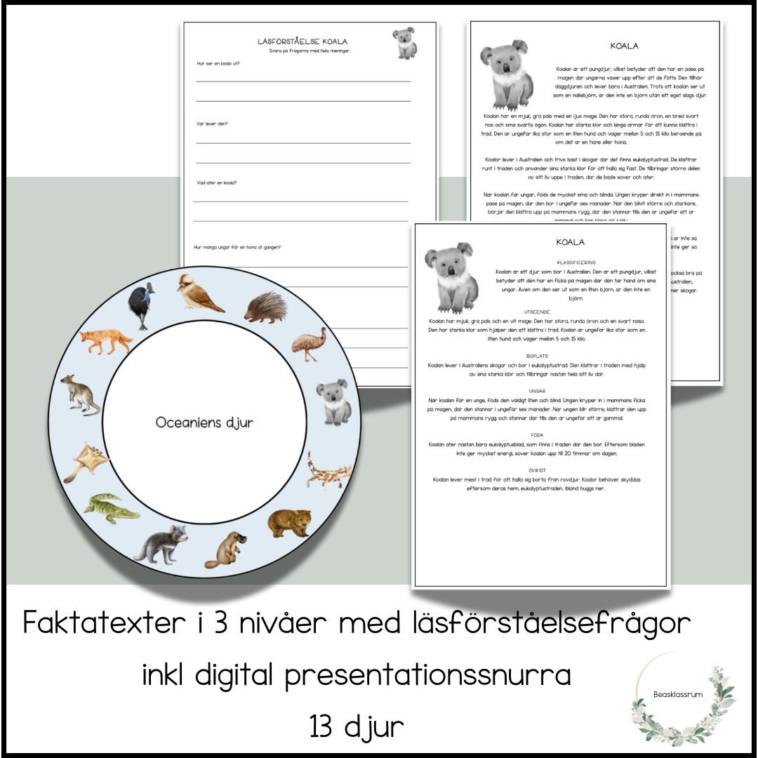 Oceaniens djur - 13 faktatexter (3 nivåer) | Teach Academy Oceaniens djur - 13 faktatexter (3 nivåer) | Teach Academy