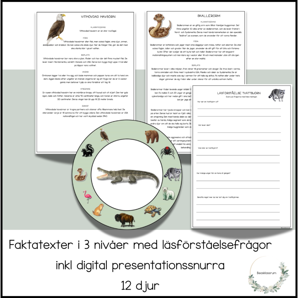 Nordamerikas djur - 12 faktatexter i 3 nivåer | Teach Academy Nordamerikas djur - 12 faktatexter i 3 nivåer | Teach Academy