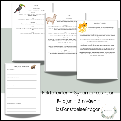 Sydamerikas djur - 14 faktatexter (3 nivåer) | Teach Academy Sydamerikas djur - 14 faktatexter (3 nivåer) | Teach Academy