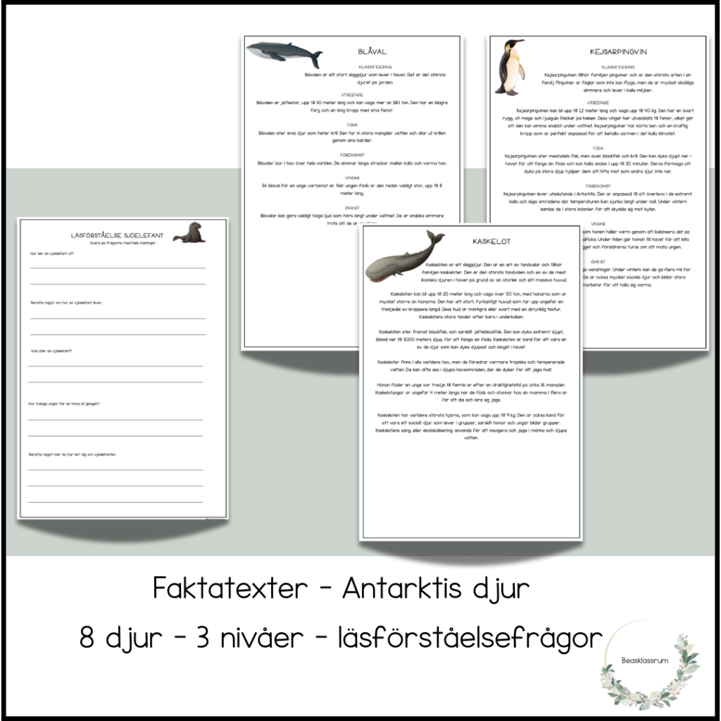 Antarktis djur - 8 faktatexter (3 nivåer) | Teach Academy Antarktis djur - 8 faktatexter (3 nivåer) | Teach Academy
